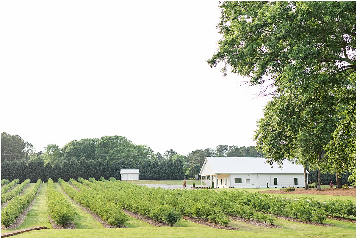 Venue Highlight: Hadden Estate - michelehoustonphotography.com